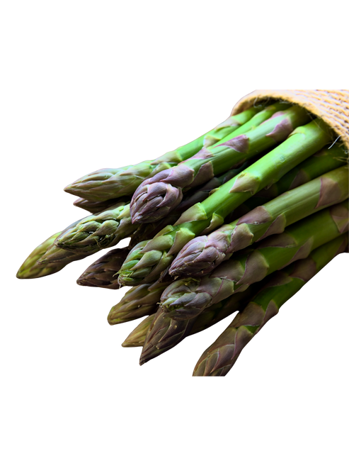 Asparagus - Green Pacific Endeavour (crown) – Rasmussen Gardens