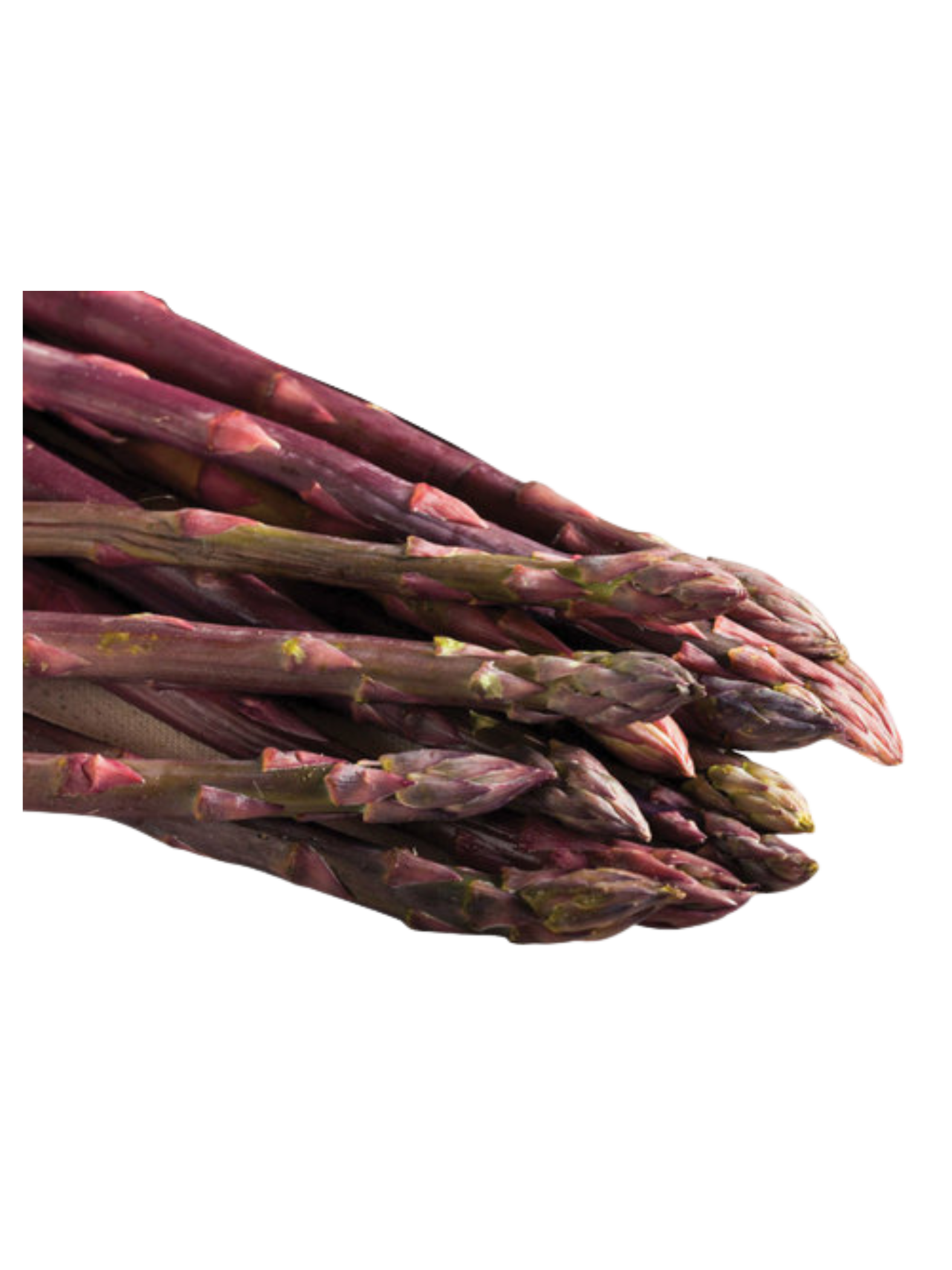 Asparagus - Pacific Purple (crown) – Rasmussen Gardens