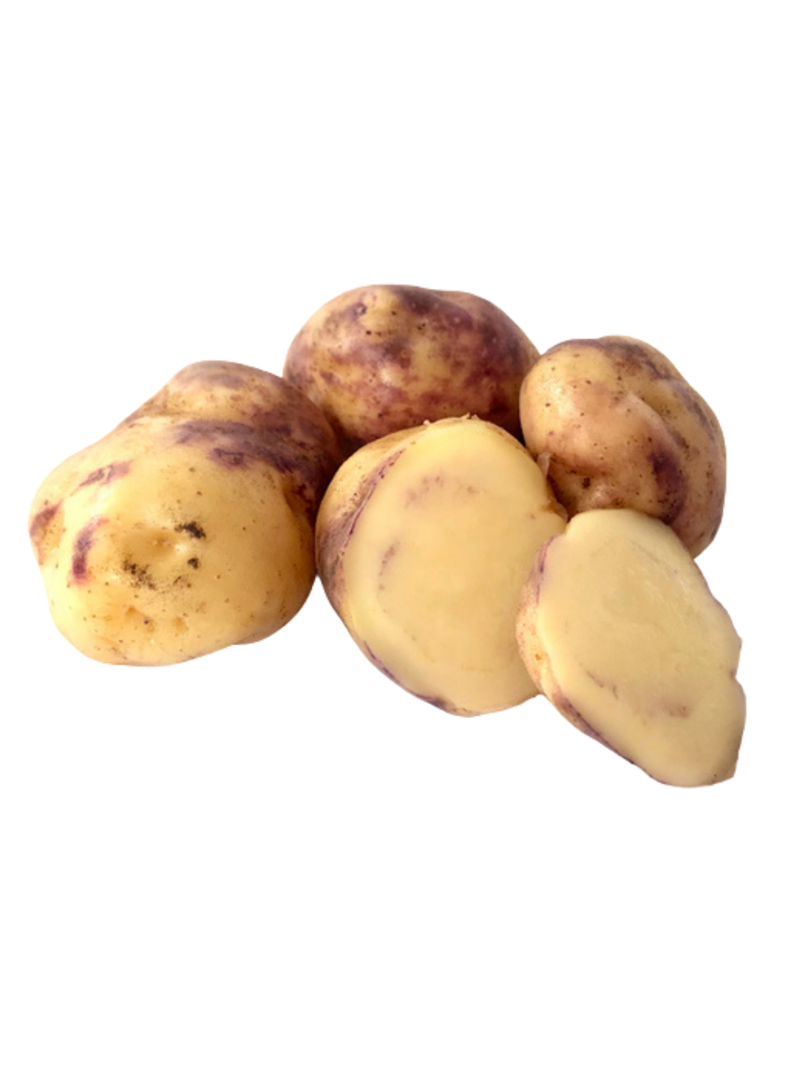 Māori Potato – Huakaroro – Rasmussen Gardens