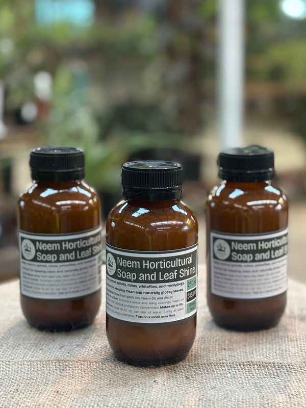 Neem Horticultural Soap and Leaf Shine 250ml (Concentrate) – Rasmussen ...